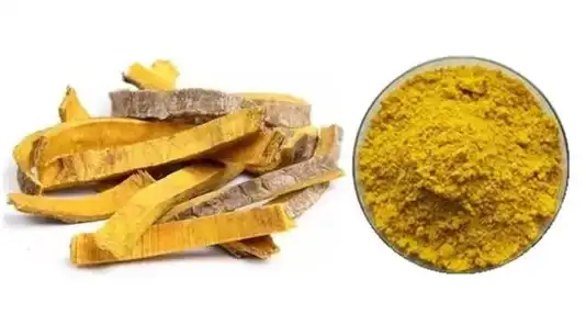 Каковы преимущества порошка гидрохлорида берберина для здоровья ...